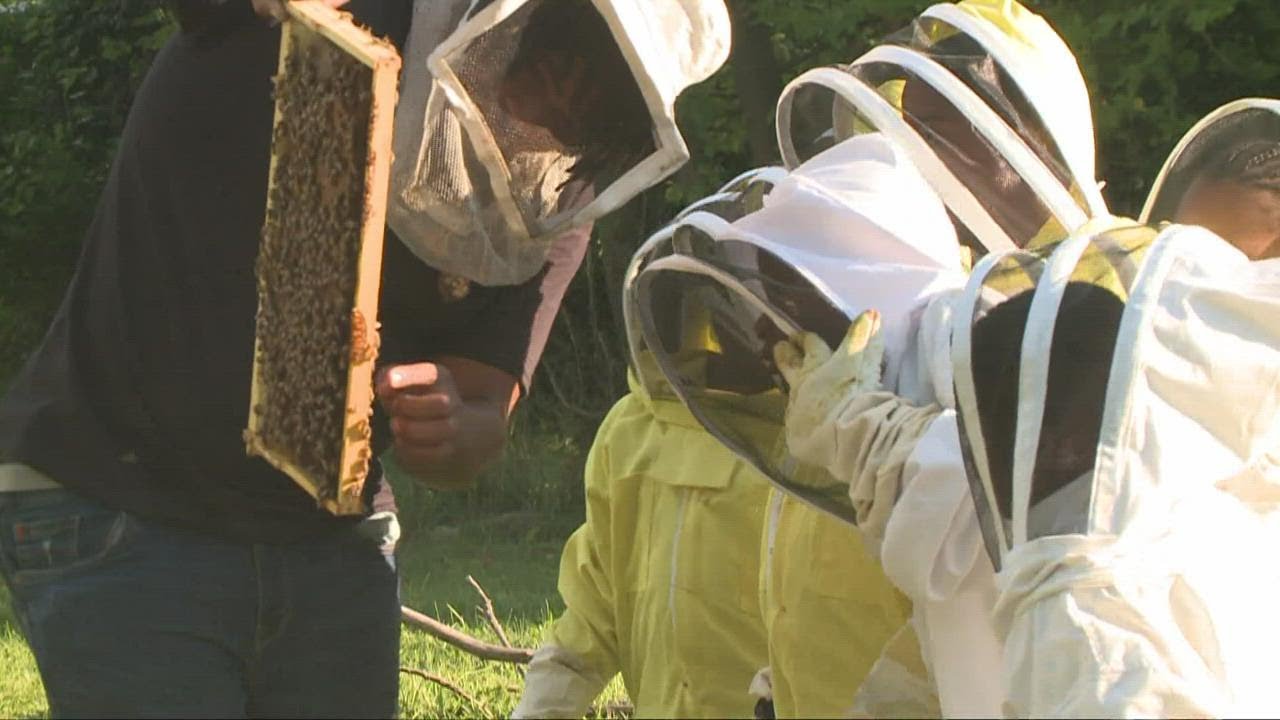 Kids learning the benefits of beekeeping in Cleveland's Mount Pleasant ...