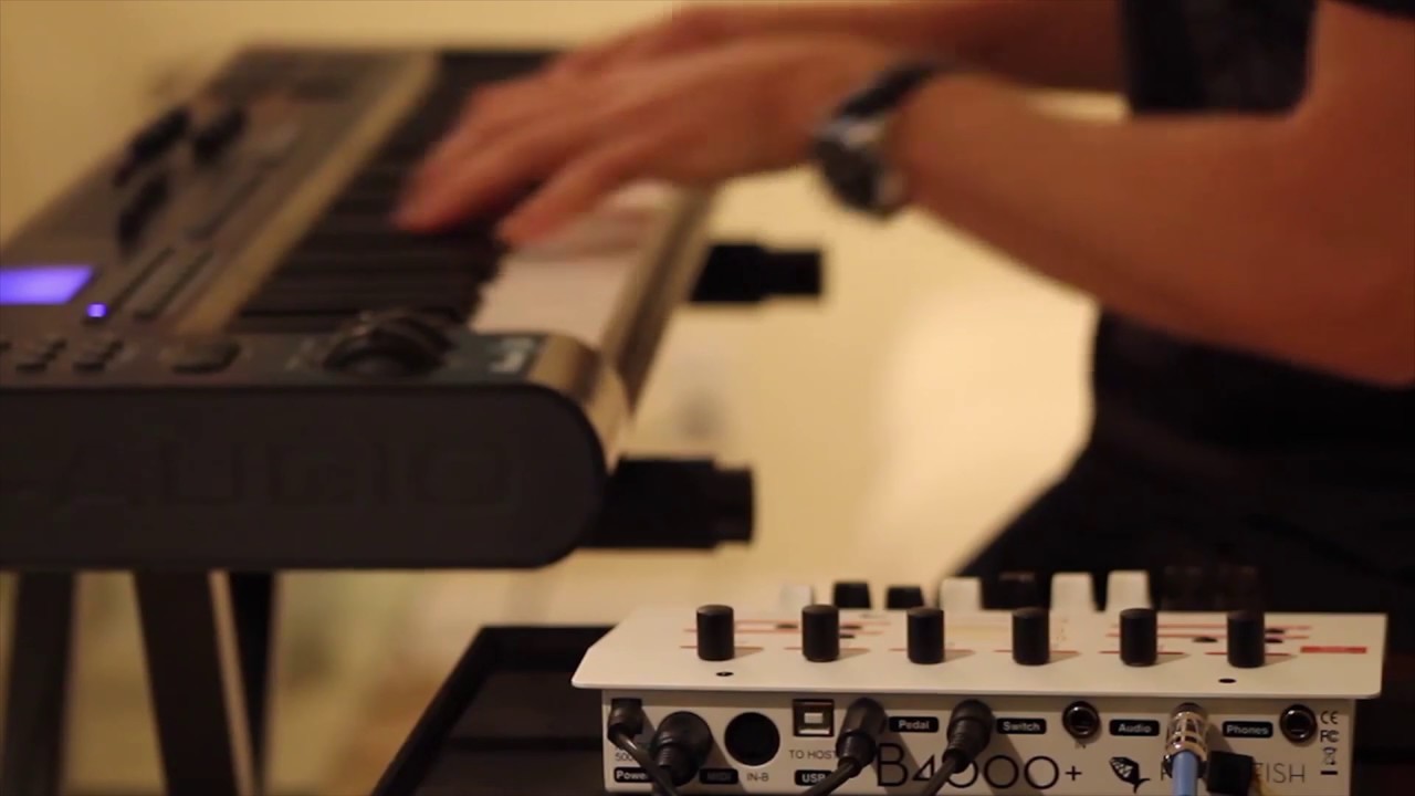 Ferrofish B4000+ Organ Module Introduction | Full Compass - YouTube