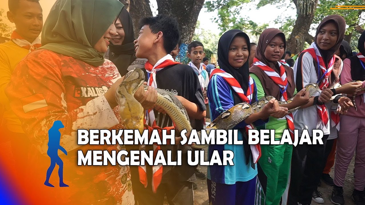 MADIUN - Berkemah Sambil Belajar Mengenali Ular - YouTube