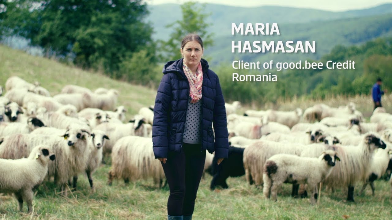 Why a Transylvanian family chose countryside to city life, while ...