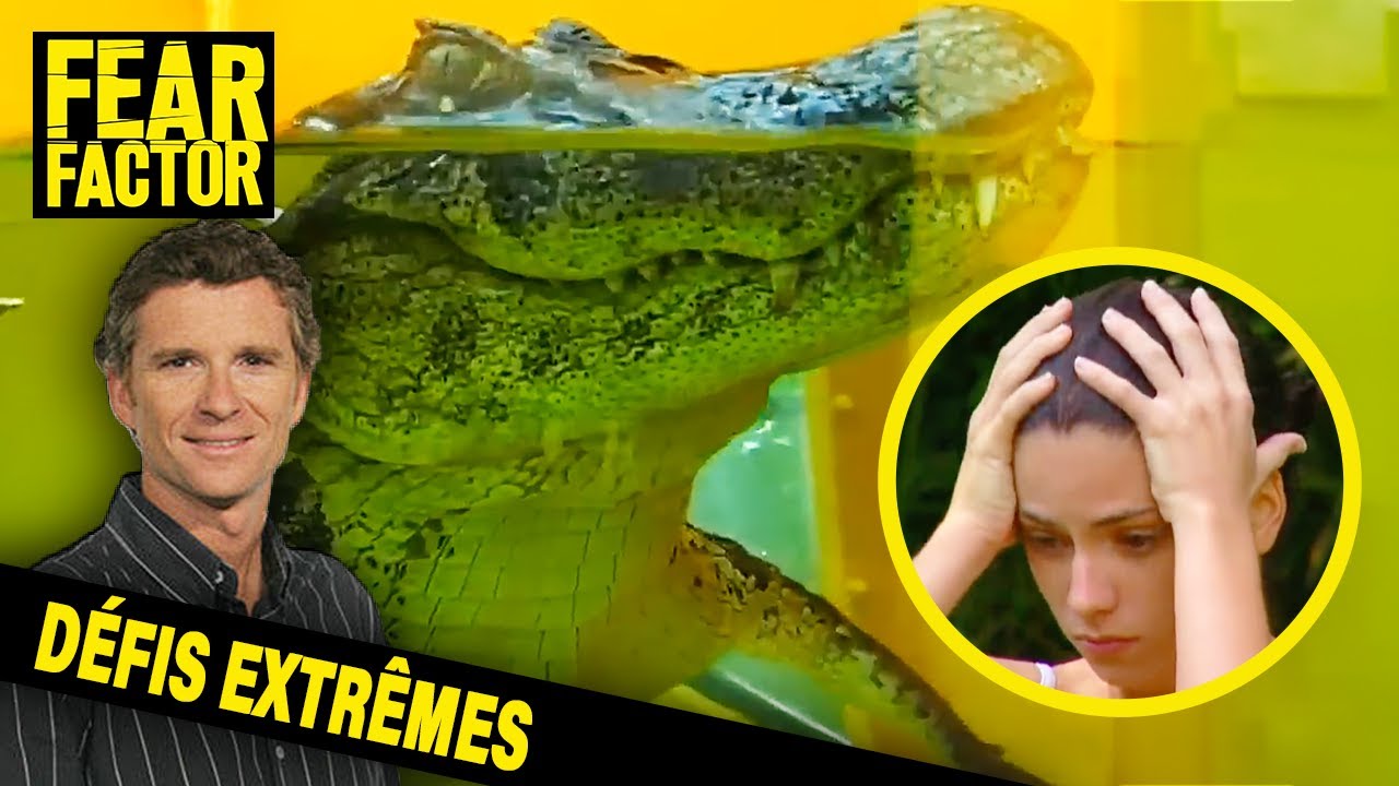 😱 FEAR FACTOR : Plonger dans un bassin d'alligators | EPISODE 5 COMPLET ...
