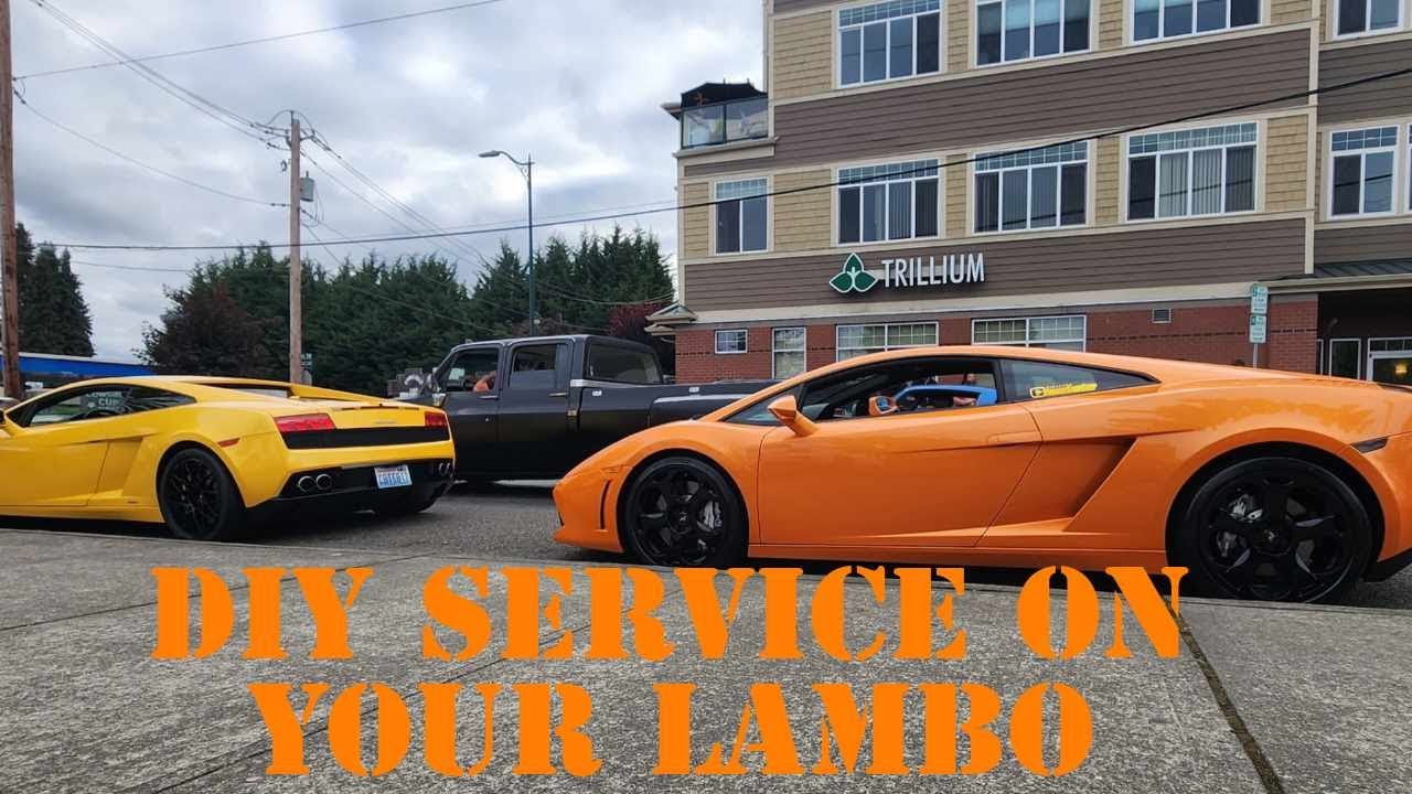 Lamborghini Gallardo Front & Rear Differential oil change - YouTube