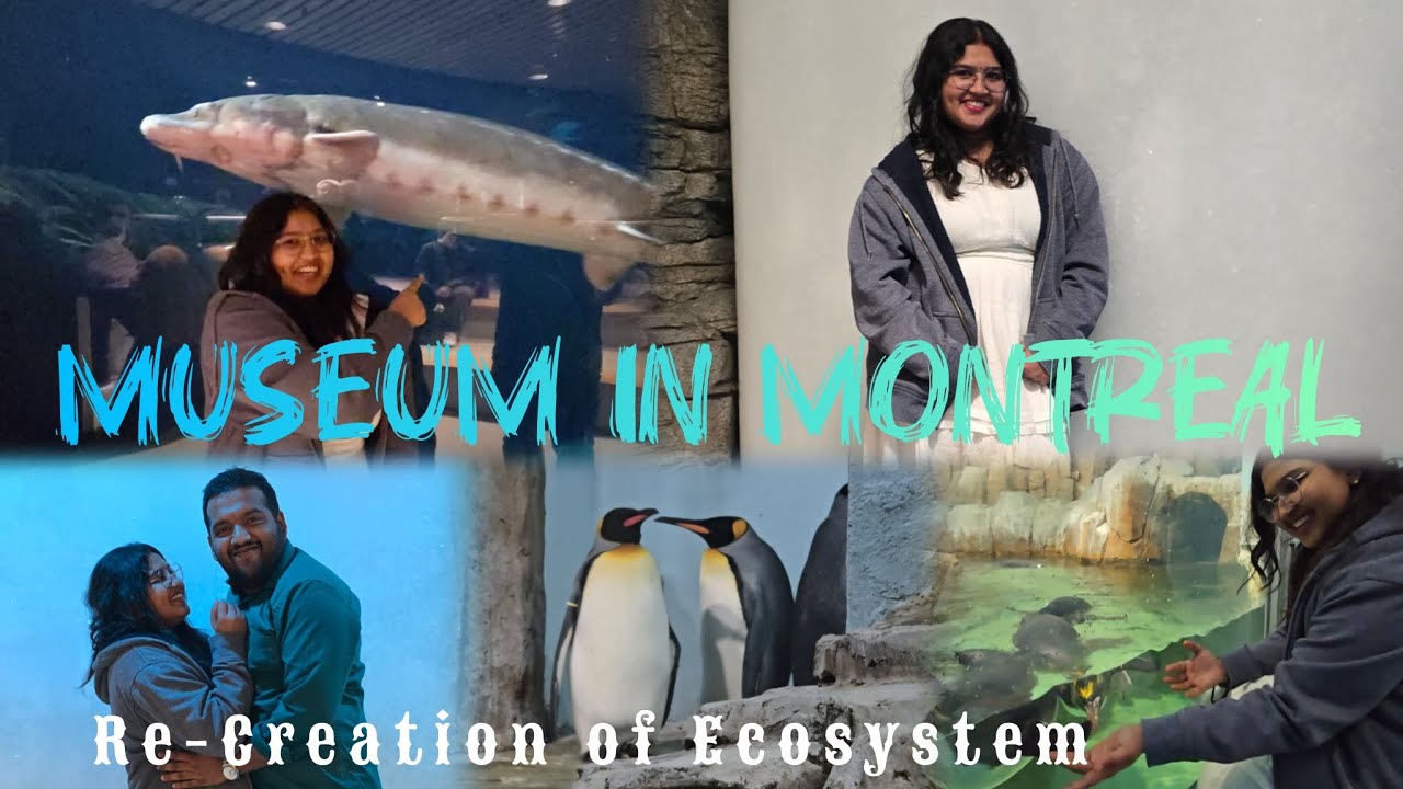Biodome Museum Montreal😍 || Re-Creation of Ecosystem🌳 A Beautiful Day ...