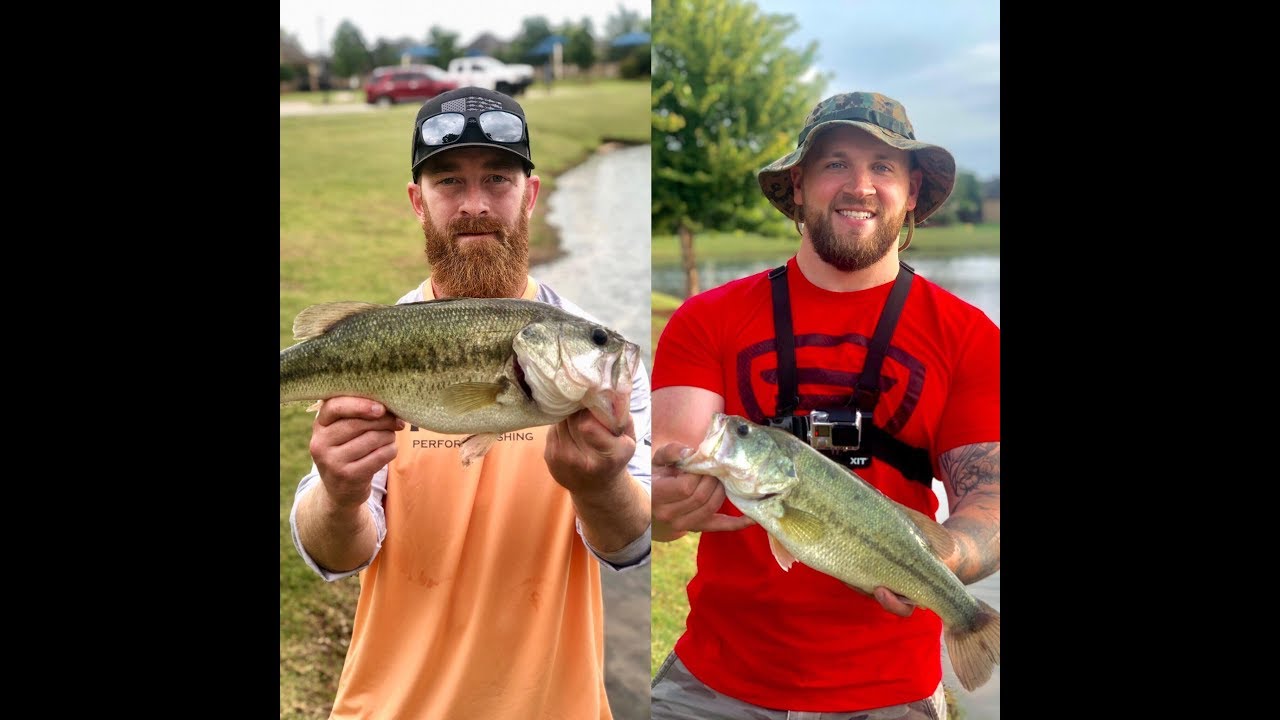 FULL MOON fishing, BASS went CRAZY - YouTube