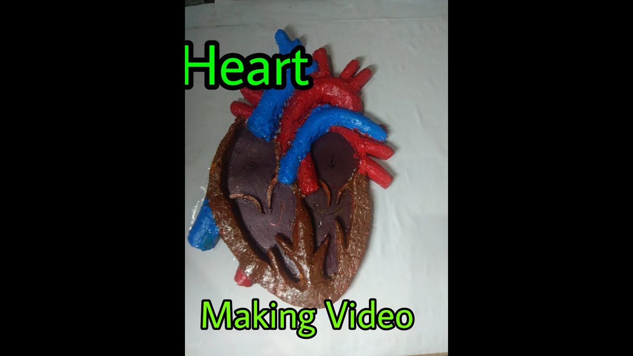 How to make miniature heart തെർമോകോൾ കൊണ്ടൊരു മനുഷ്യ ഹൃദയം720p - YouTube