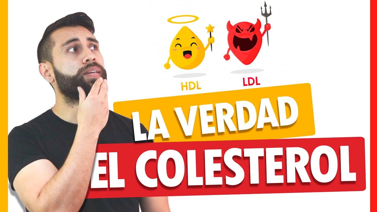 Qué es EL COLESTEROL🔥 | ¿Bueno?-¿Malo? | HDL y LDL | - YouTube