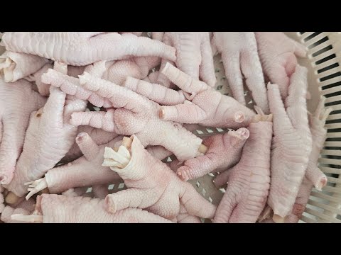 Cutting a Chicken feet nails. - YouTube
