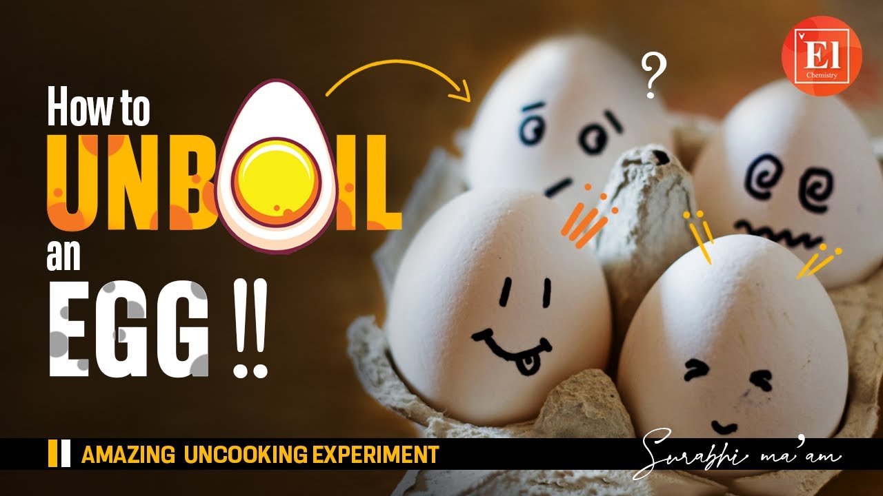 How to Unboil an Egg🥚 | Amazing Uncooking Experiment By Surabhi Ma'am ...