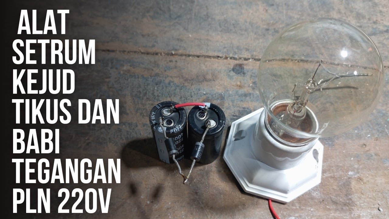 cara membuat setrum kejud babi dan tikus menggunakan tegangan PLN 220V ...