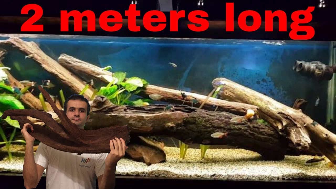 2 meters Aquarium update - YouTube