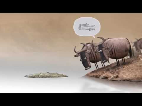 Funny Videos about Trust - YouTube