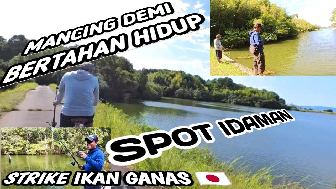 MANCING DI DANAU JEPANG || ANEH ORANG JEPANG GA SUKA IKAN DANAU - YouTube