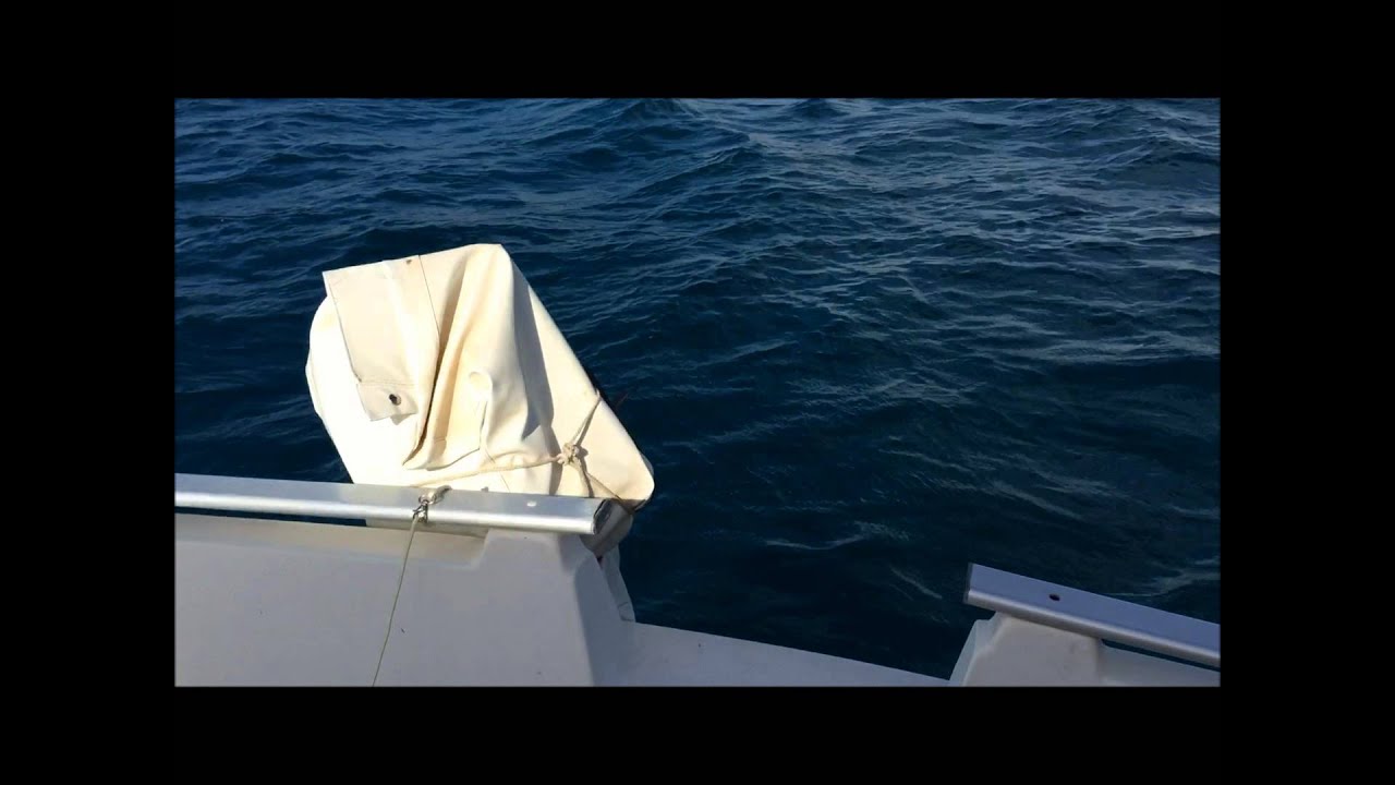 Turbidez en aguas mediante el disco de Secchi - YouTube