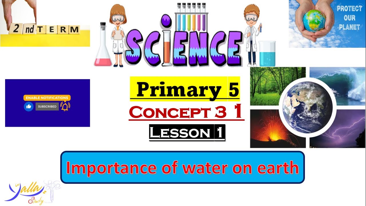 Science primary 5 concept 3.1 lesson 1 theme 3 2nd term/Importance of ...