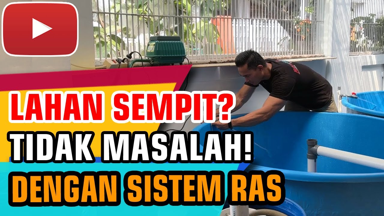 Membuat Kolam Sistem RAS di Lahan Sempit | Budidaya Ikan Nila Efektif ...