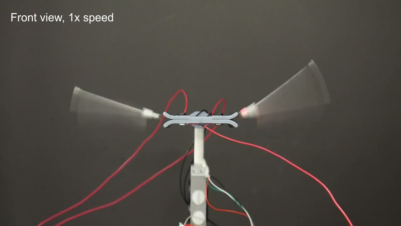 Scientists Develop Insect-Sized Flying Robots With Flapping Wings - YouTube