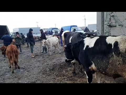 İmisli Malbazarı