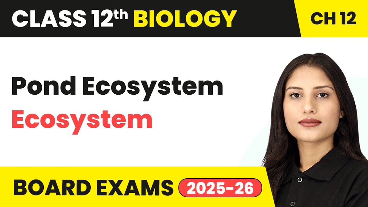 Pond Ecosystem - Ecosystem | Class 12 Biology Chapter 12 | CBSE 2025-26 ...