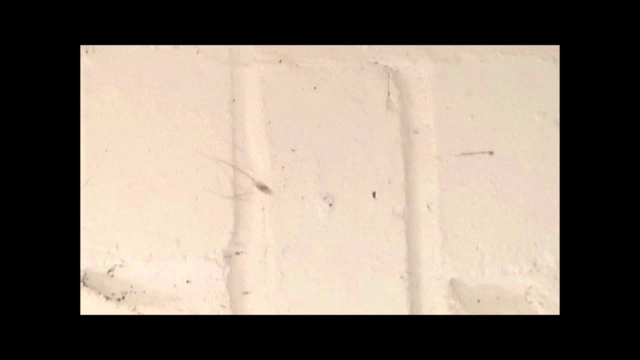 Dave The Spider - YouTube