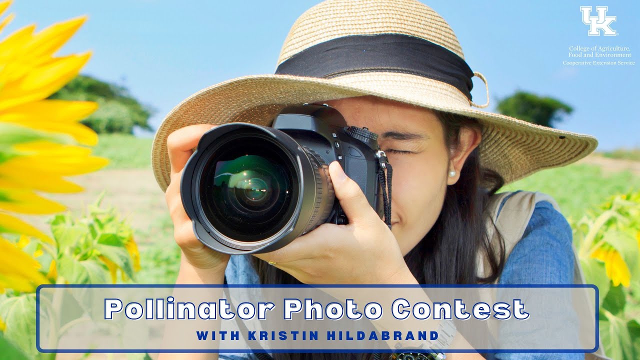 Pollinator Photo Contest - YouTube