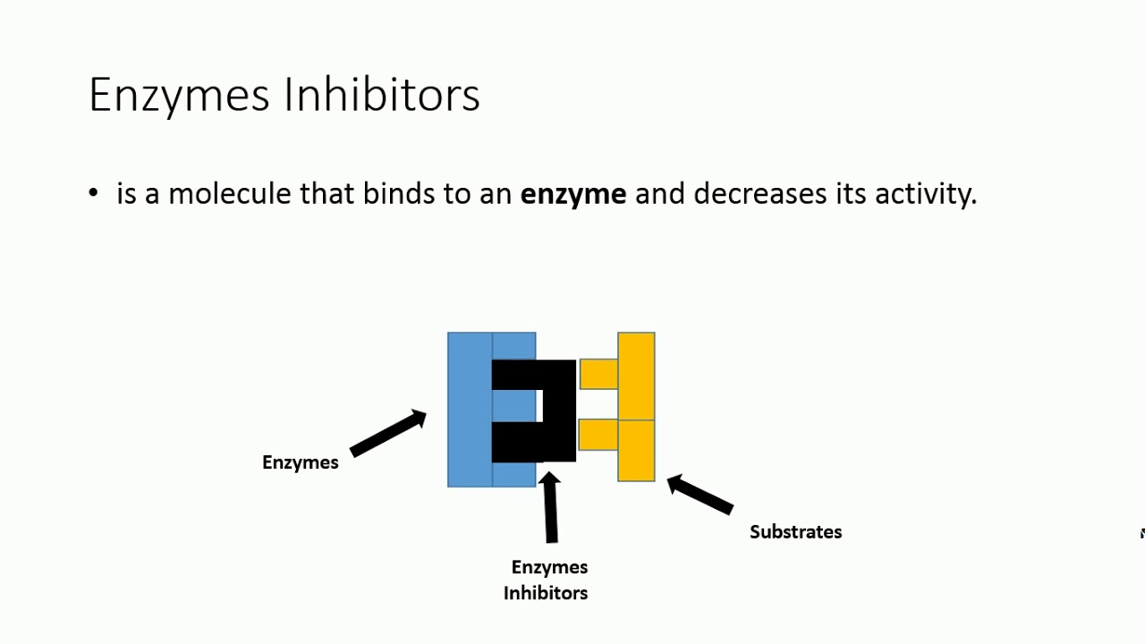 Biochemistry - 14 Enzymes Activators & Inhibitors - YouTube