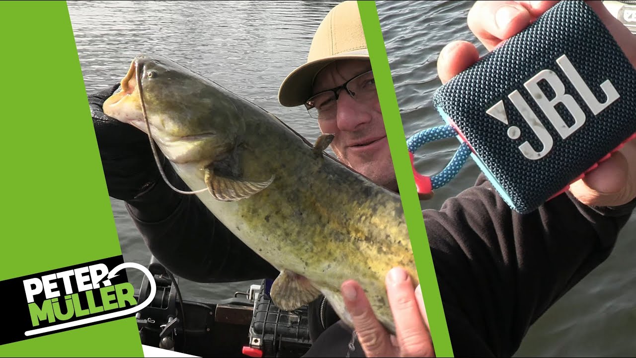 Mit Technobeats auf Wels angeln - #Waller #fishing #angeln #techno #JBL ...