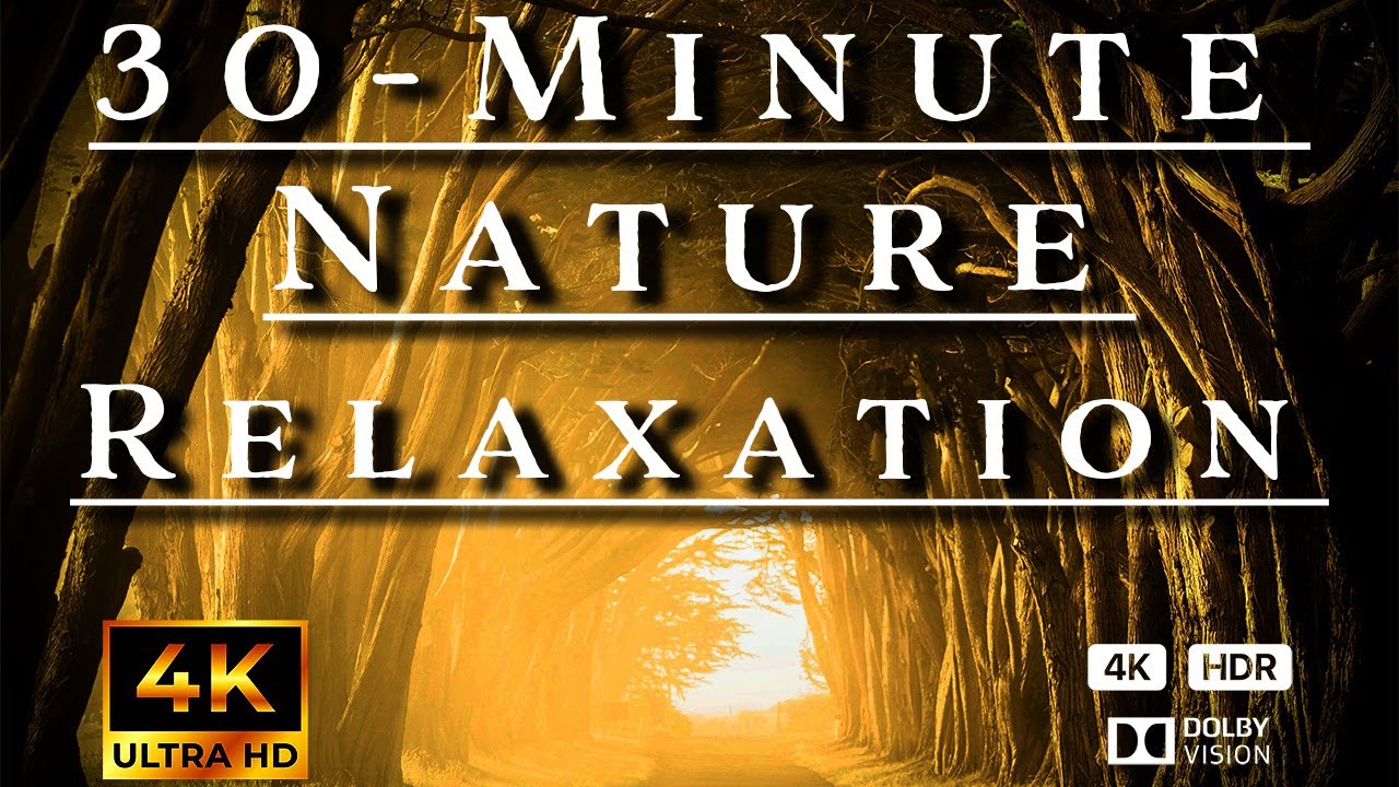 30-Minute Beautiful Nature Relaxation Music Video for Stressreleif ...