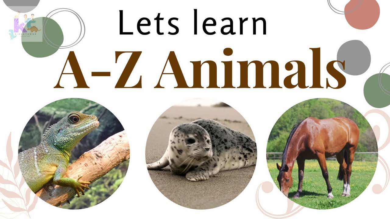 A to Z Animals | Alphabet Animals | Animal Names | Animal Vocabulary ...