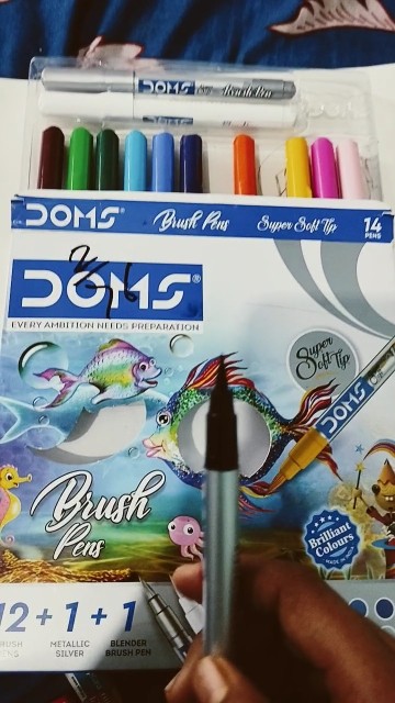 Coms brush pens ke bare mein information 12 and two extra pen #brush ...