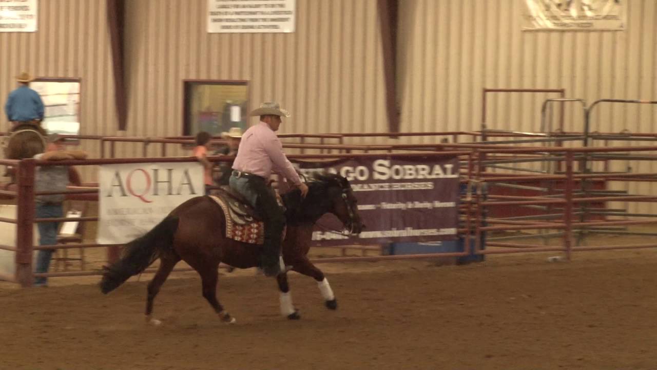 Pretty Peppy Chexy 8 14 16 - YouTube