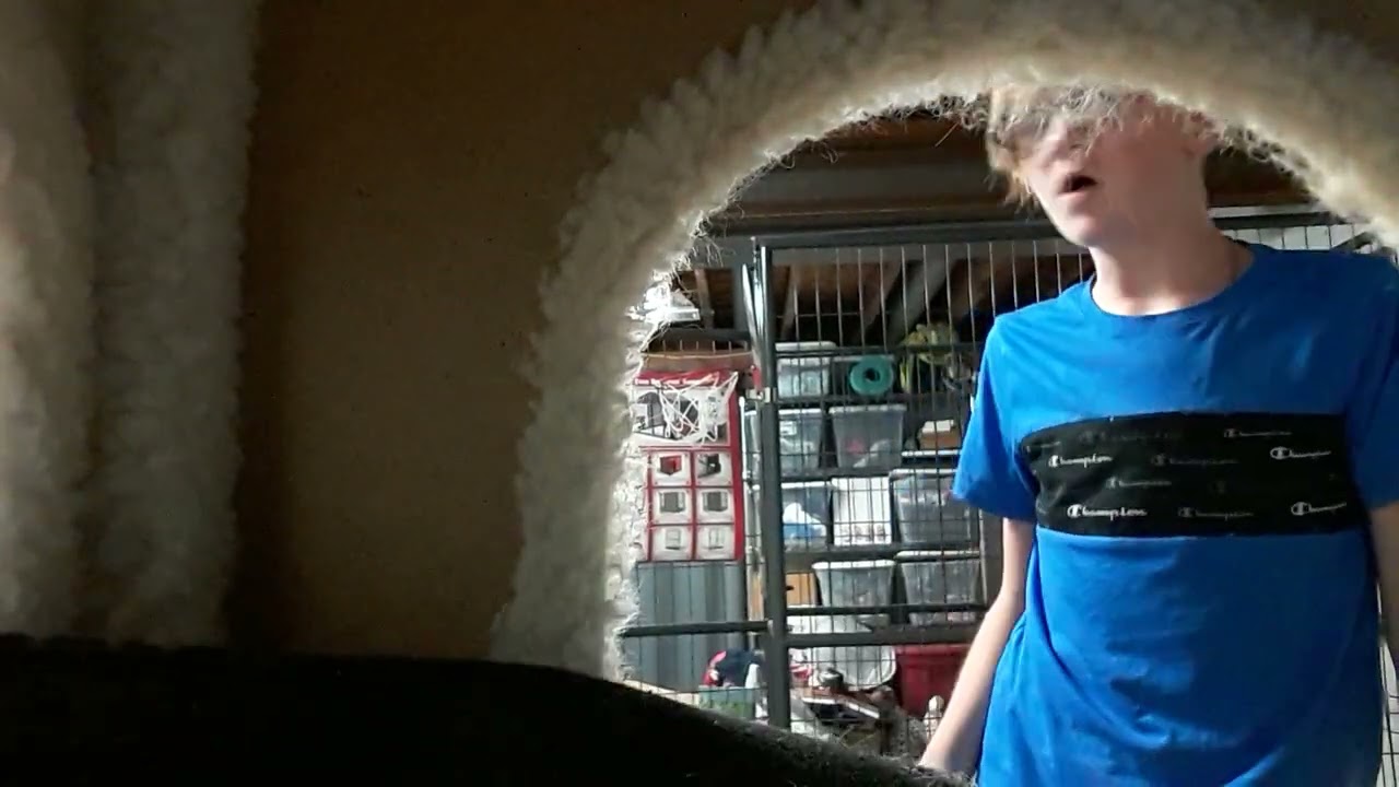 Fluffy 2 - YouTube
