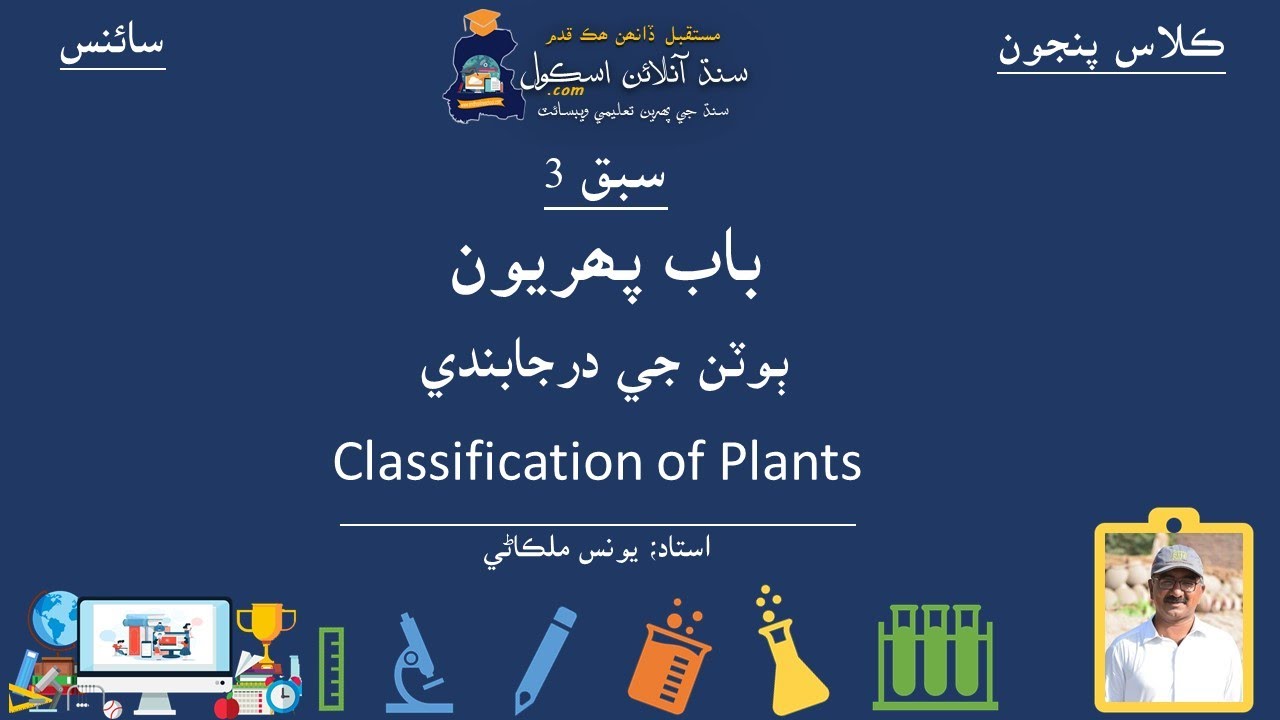 Classification of plants| Science Class 5| Chapter 1| Lesson 3| Sindh ...