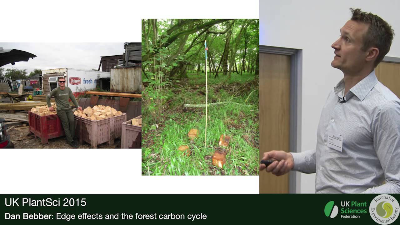 Dan Bebber. Edge effects and the forest carbon cycle - YouTube
