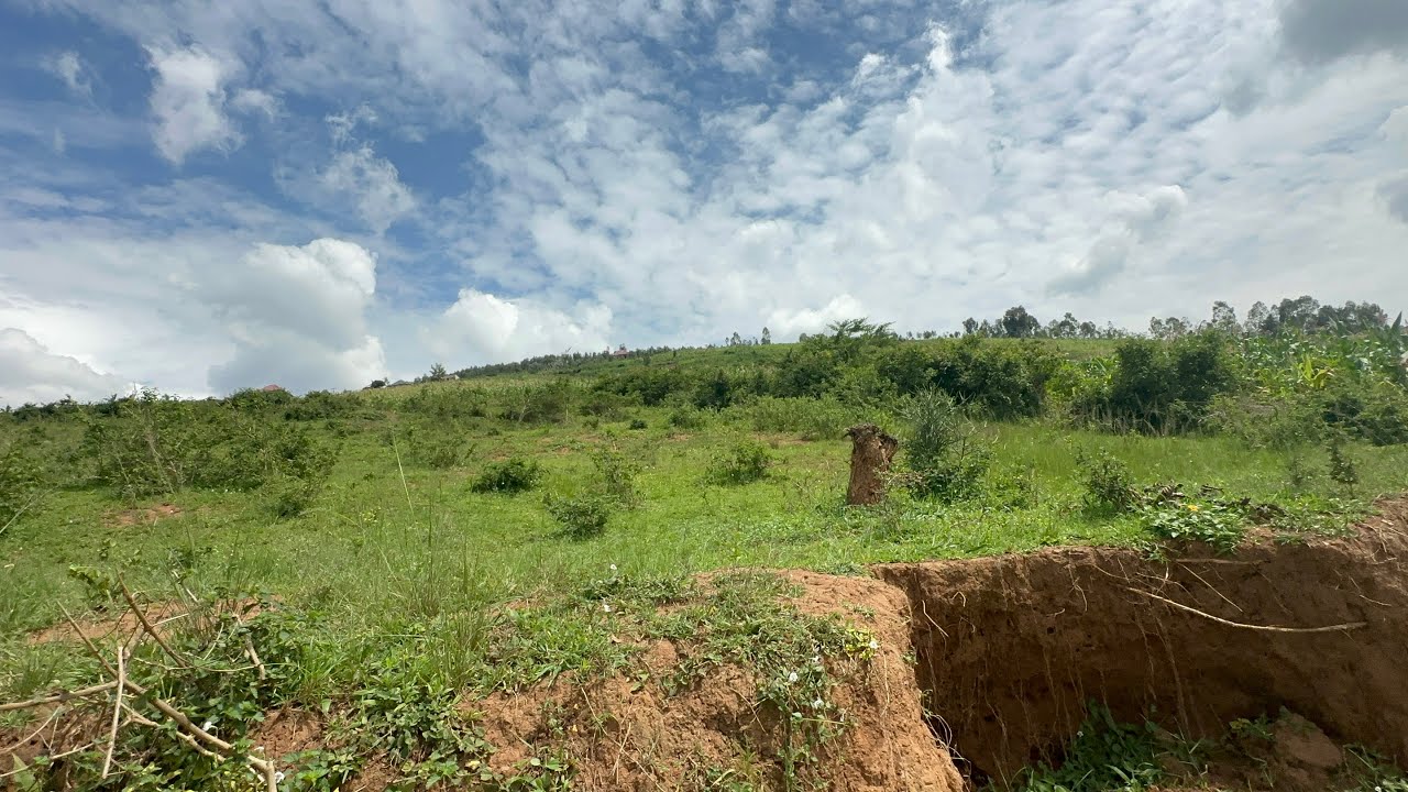 HUGE LAND FOR SALE UBUTAKA BININI BUGURISHWA 20 HECTARE KUGICIRO ...