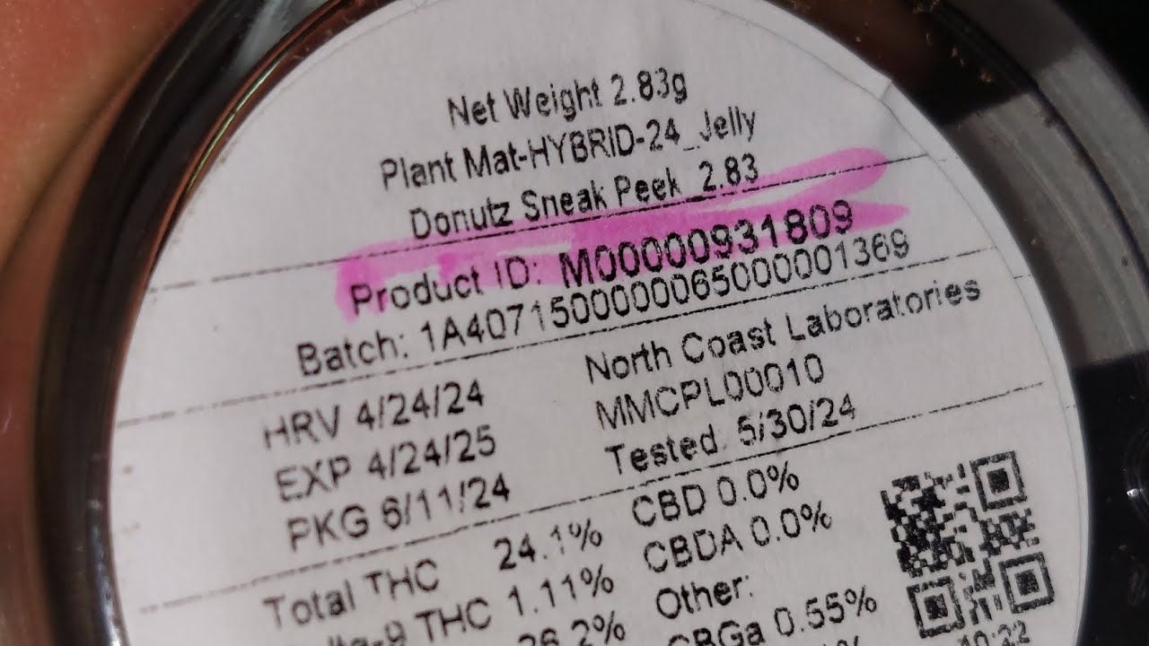 JELLY DONUTZ 🍩 BUCKEYE RELIEF - YouTube