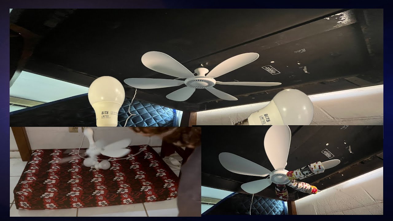 6 Blade ceiling fan falling down to 2 LED light bulbs|Wrist Slaps on ...
