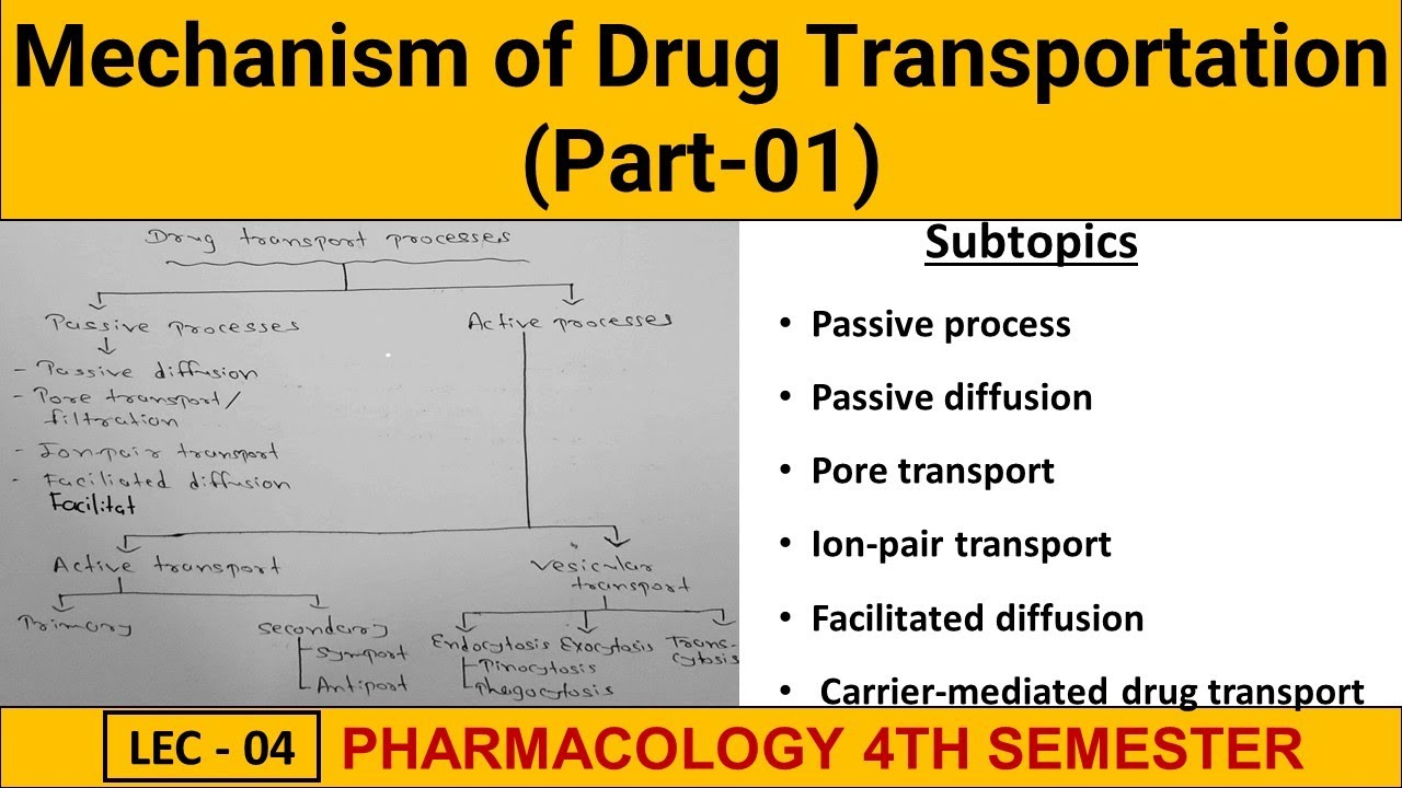 Mechanism of drug transportation | Part-1 | Pharmacokinetics ...