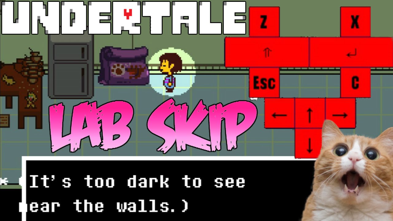 Undertale - Lab Skip (Speedrun Trick) - YouTube