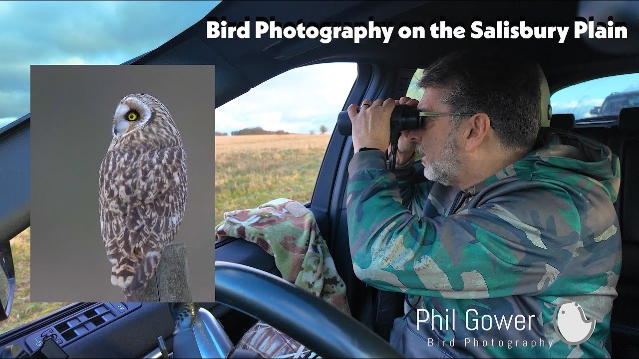 Bird Photography on the Salisbury Plain - YouTube