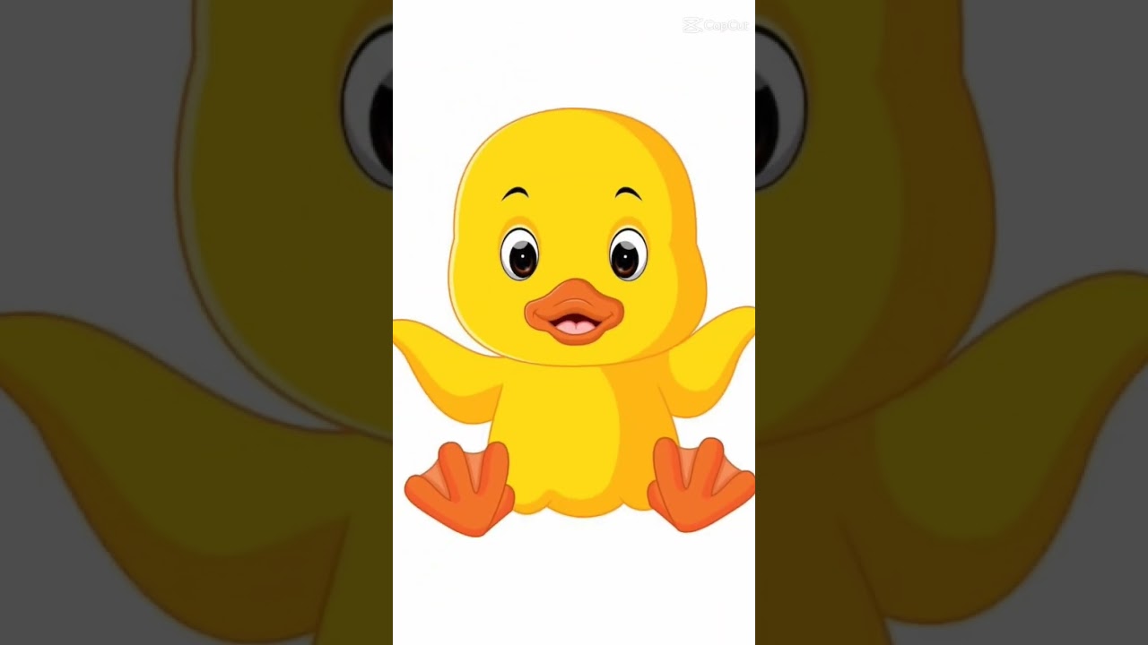patitos - YouTube