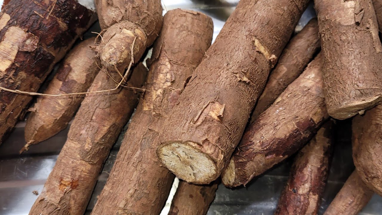 yadda ake yin kosan rogo | hausa snack /food made with cassava 😋 👌 ...