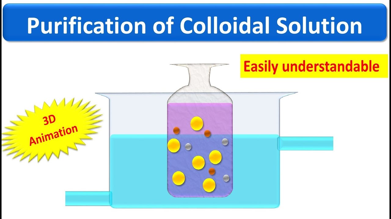 Class 12 Chemistry Surface Chemistry Purification of Colloidal Solution ...