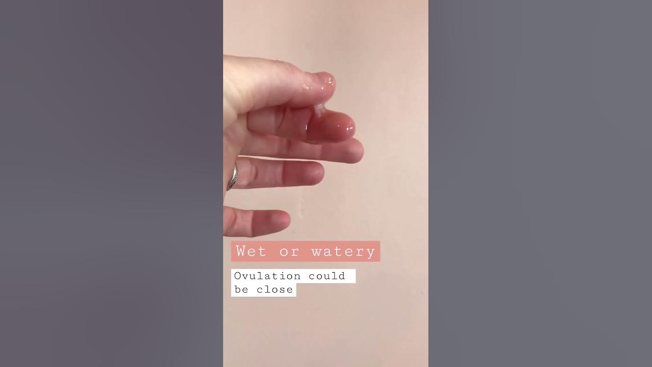 What Your Cervical Mucus Can Tell You About Being Fertile Youtube