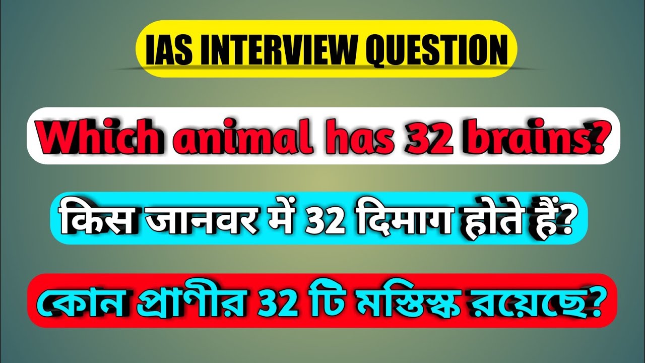 IAS Interview Questions with Answers | Learn With Julfikar - YouTube