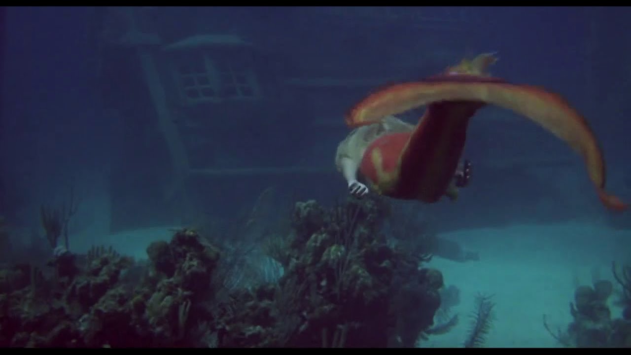 Splash (1984) - YouTube