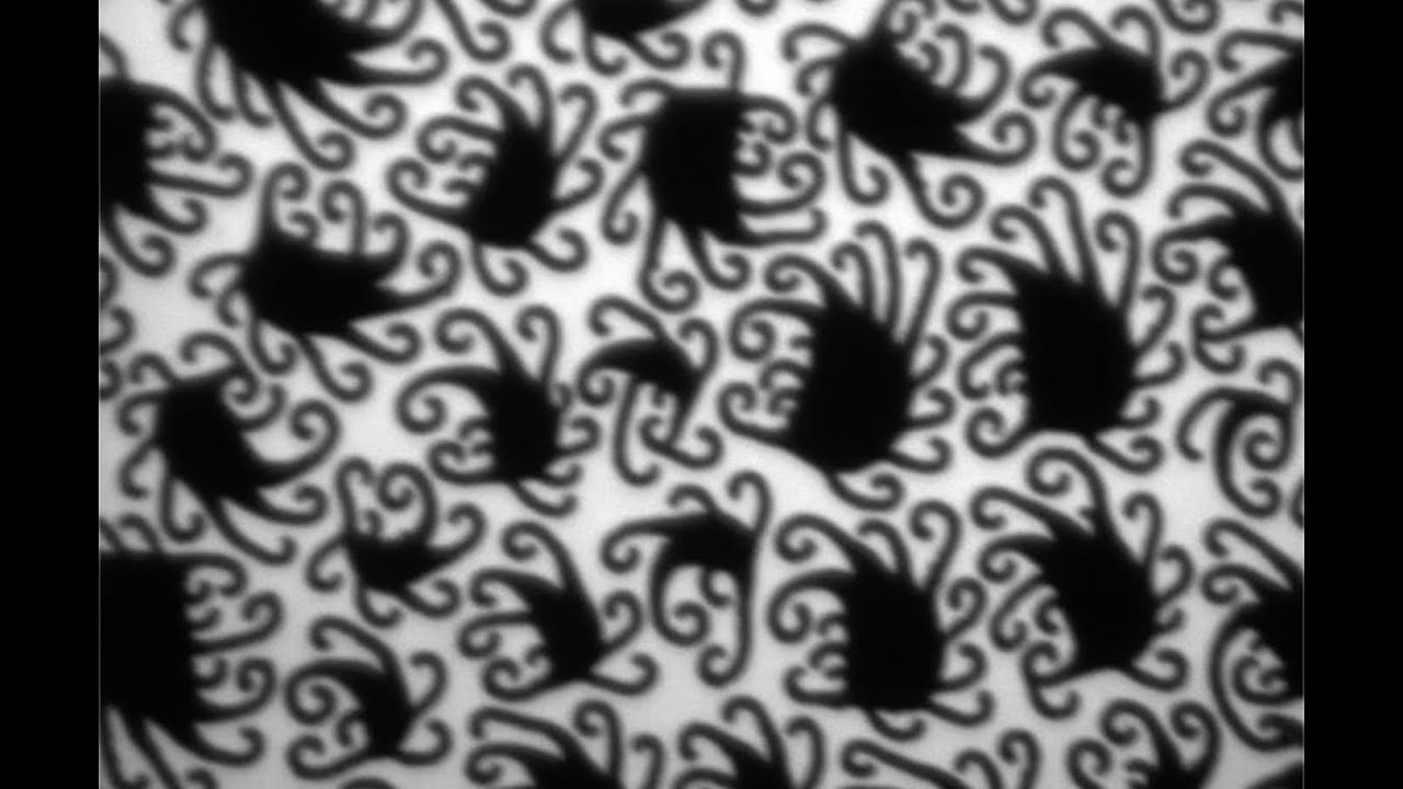 Finger-like structures of lung surfactant monolayers under a microscope ...