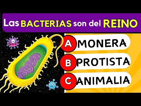🧠 Quiz de Biología: ¿A Qué Reino Pertenecen Estos Organismos? 🌿🍄Los 5 REINOS de la naturaleza 🦠🌱