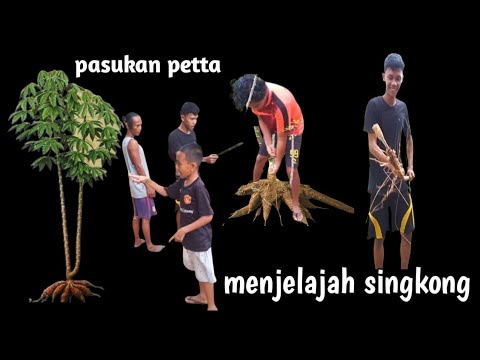 pasukan petta || acara singkong || menjelajah - YouTube