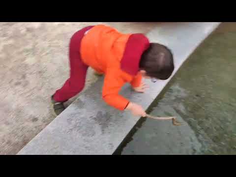 Gebzede Hava Durumu (Murat Arı)