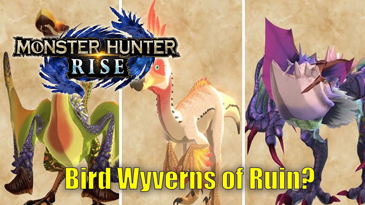 Monster Hunter Rise - Bird Wyverns of Ruin? - YouTube
